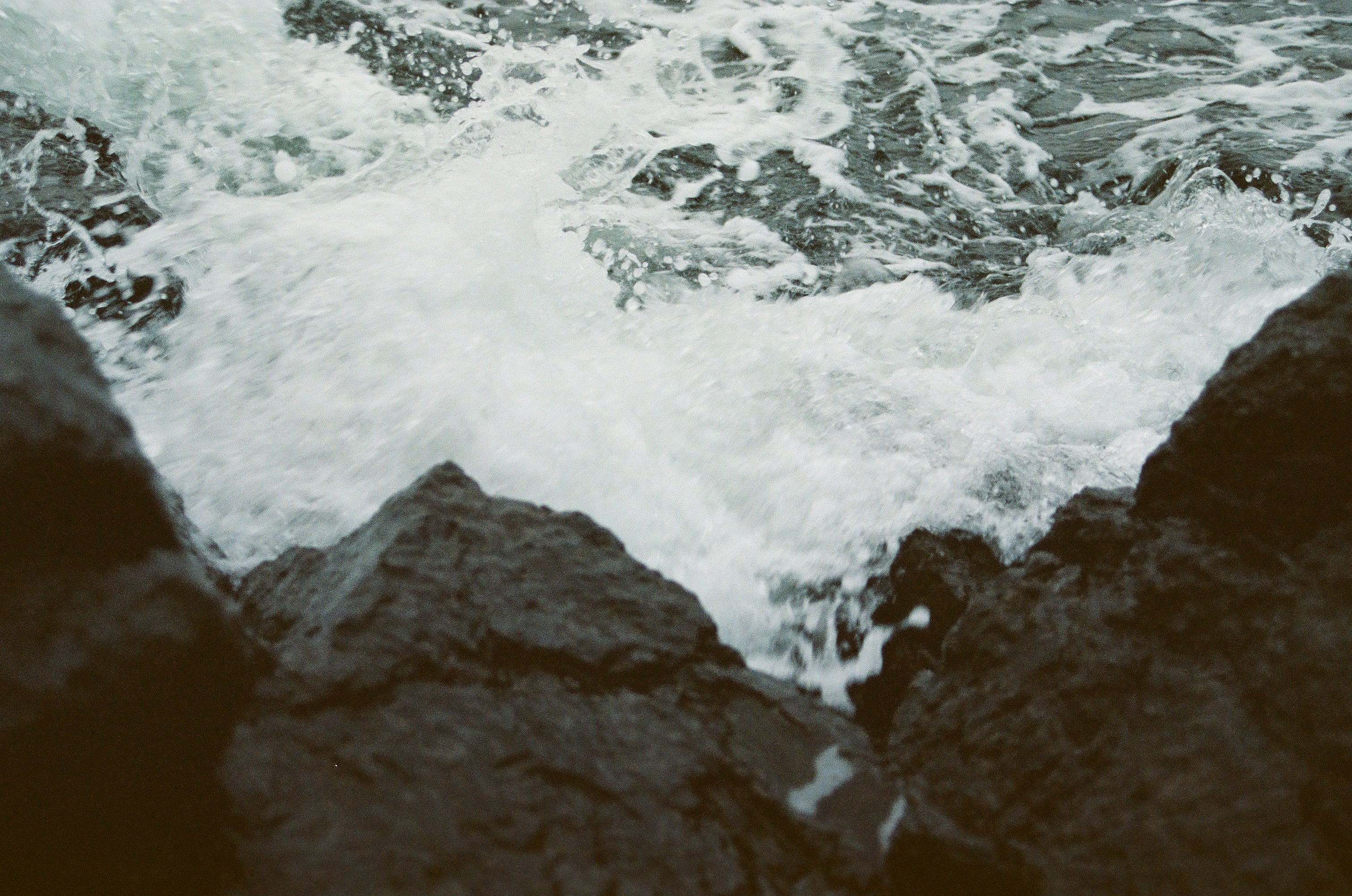 Pure – ZENZ Organic UAE